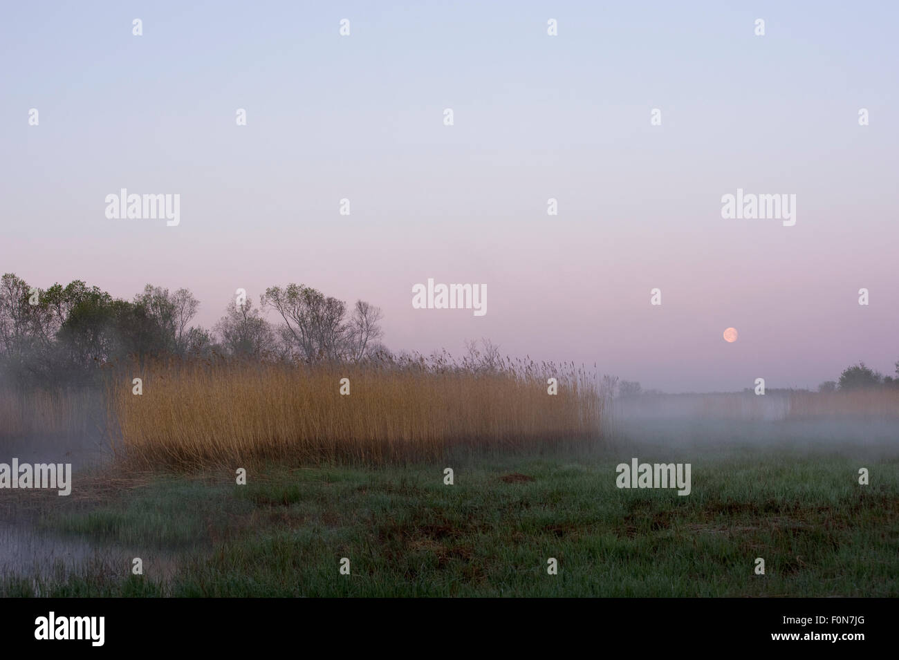 Roude hi-res stock photography and images - Alamy