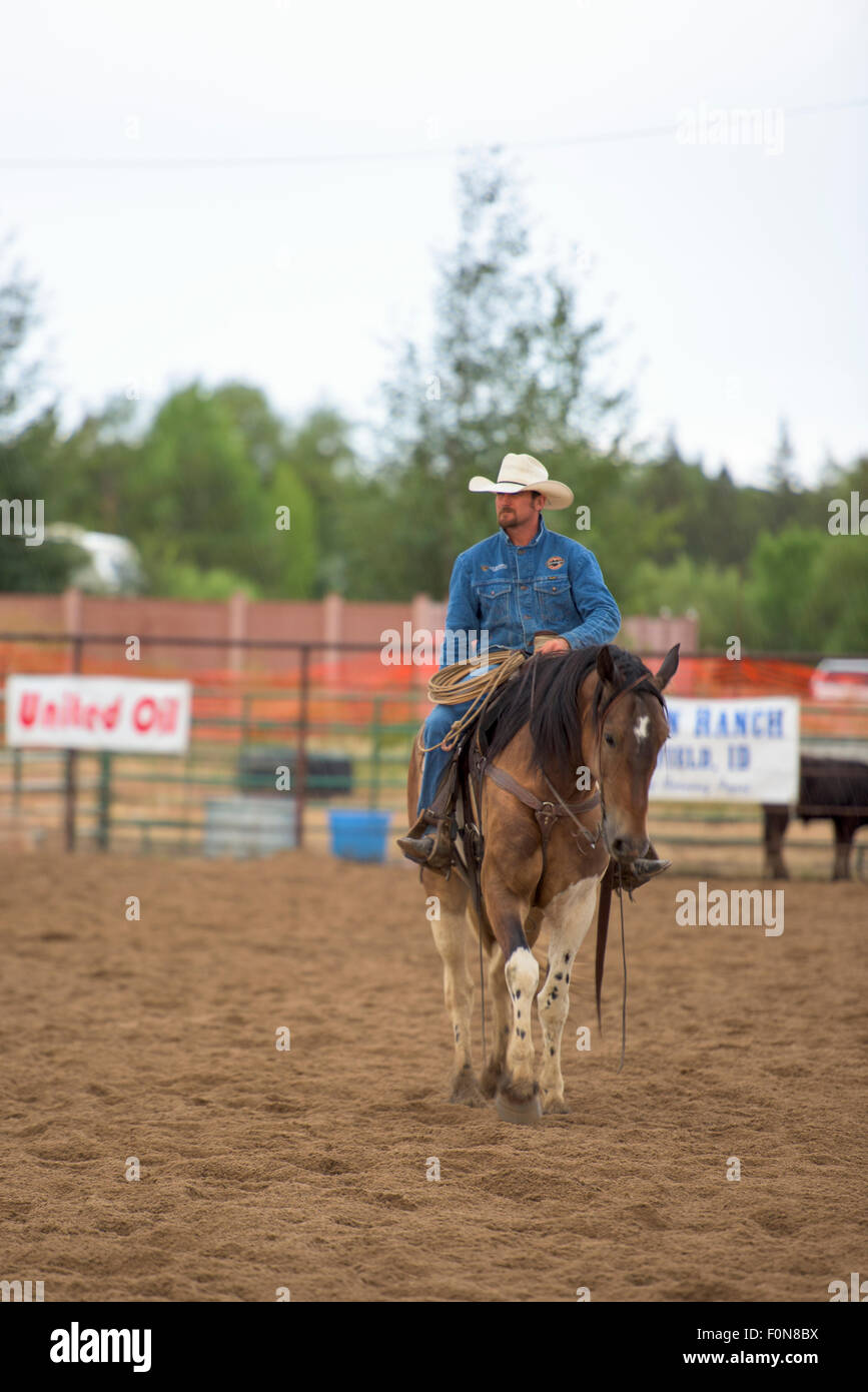 Cowboy riding on the back of horse at rodeo Stock Photo - Alamy