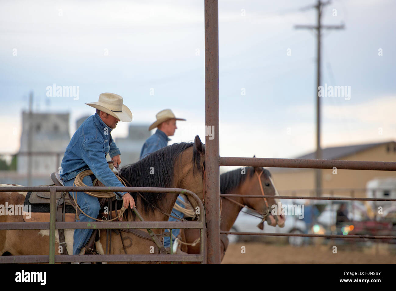 Cowboy riding on the back of horse at rodeo Stock Photo - Alamy