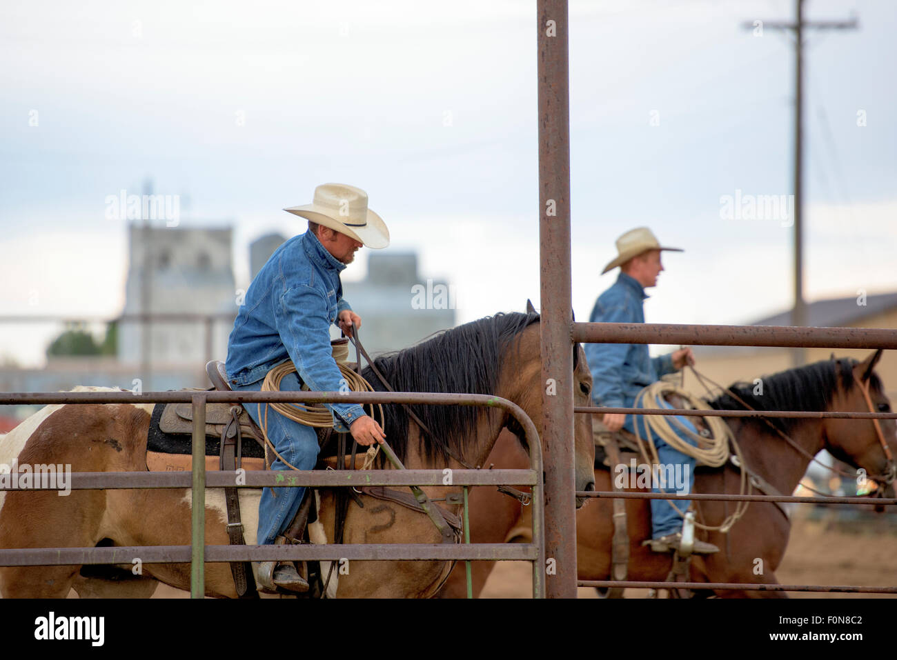 Cowboy riding on the back of horse at rodeo Stock Photo - Alamy