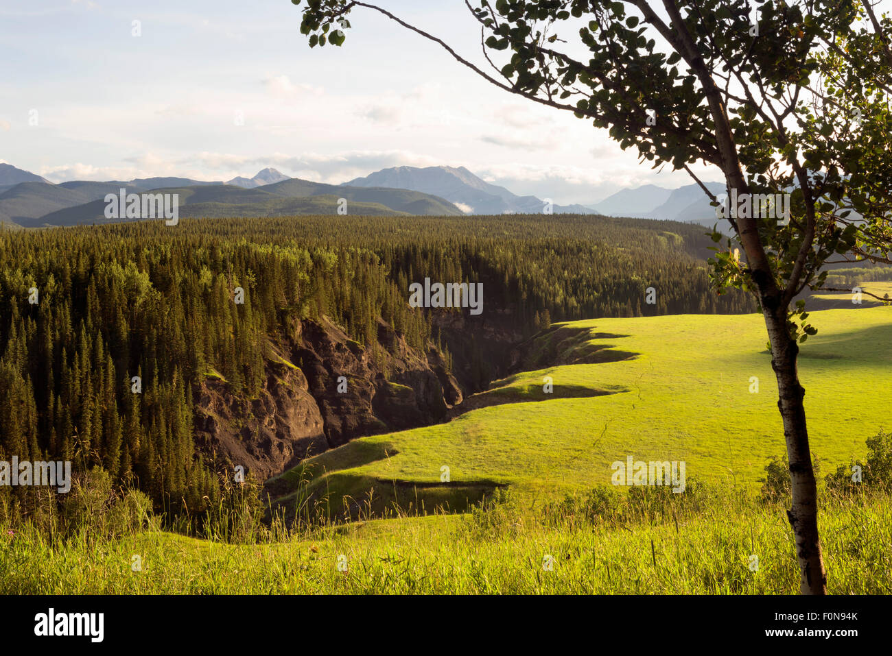 Big horn lookout hi-res stock photography and images - Alamy