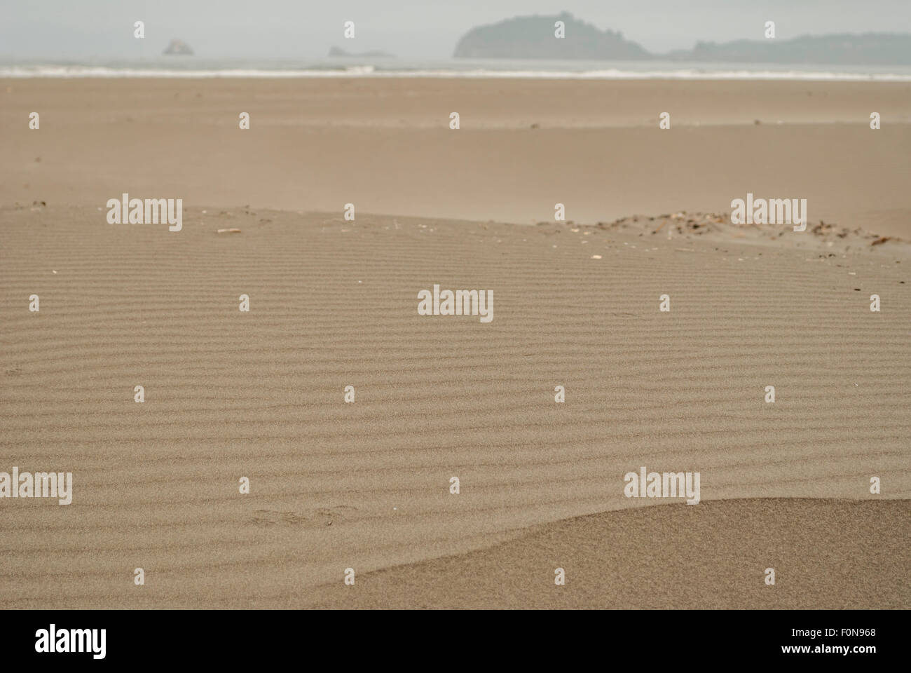 Landscape of sand dunes at Little River State Beach Stock Photo - Alamy