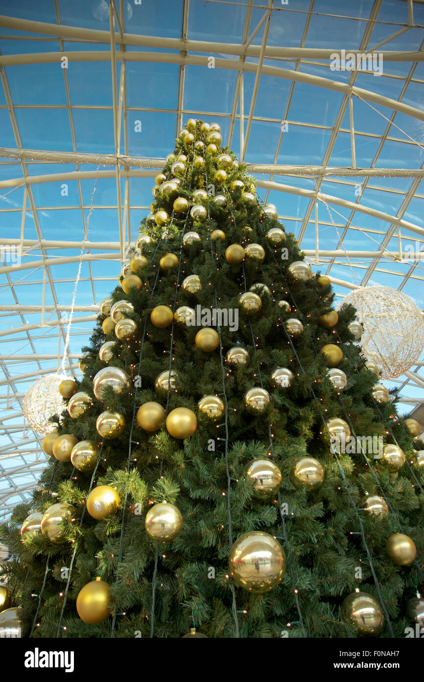 Lower view of a decorated Christmas tree with roof structure and blue ...