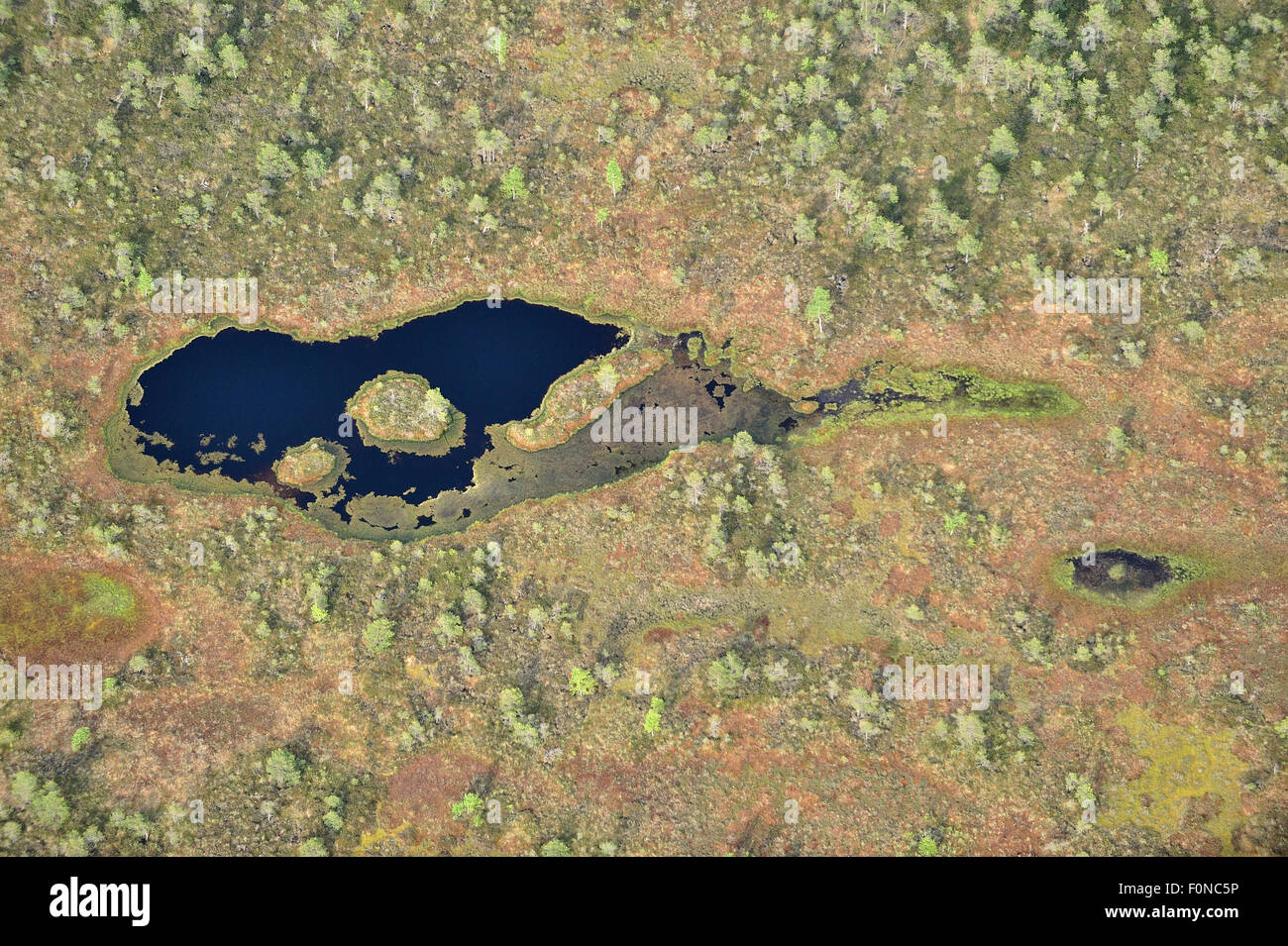 Aerial view of bog, Kemeri National Park, Latvia, June 2009 Stock Photo ...