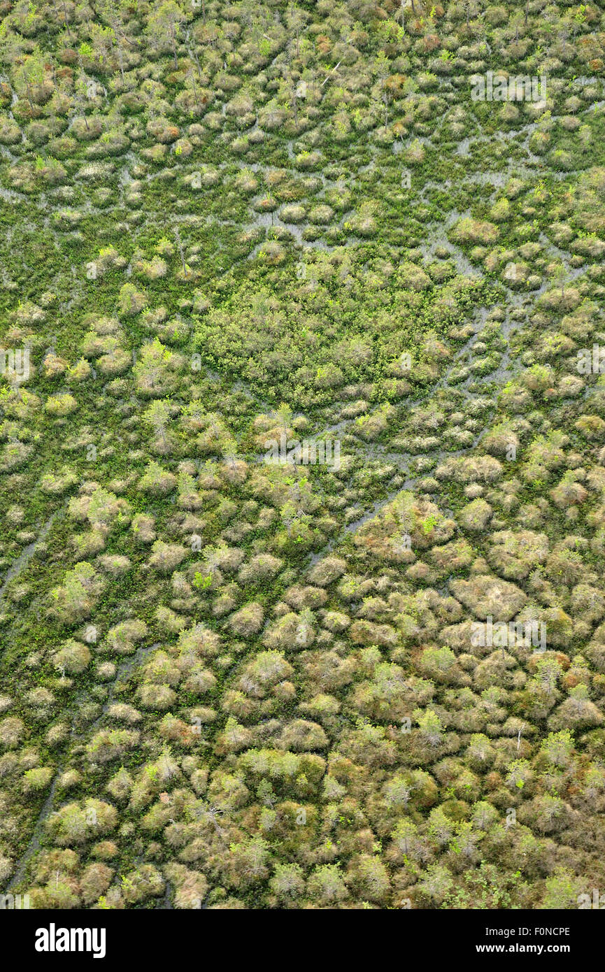 Aerial view of bog, Kemeri National Park, Latvia, June 2009 Stock Photo ...