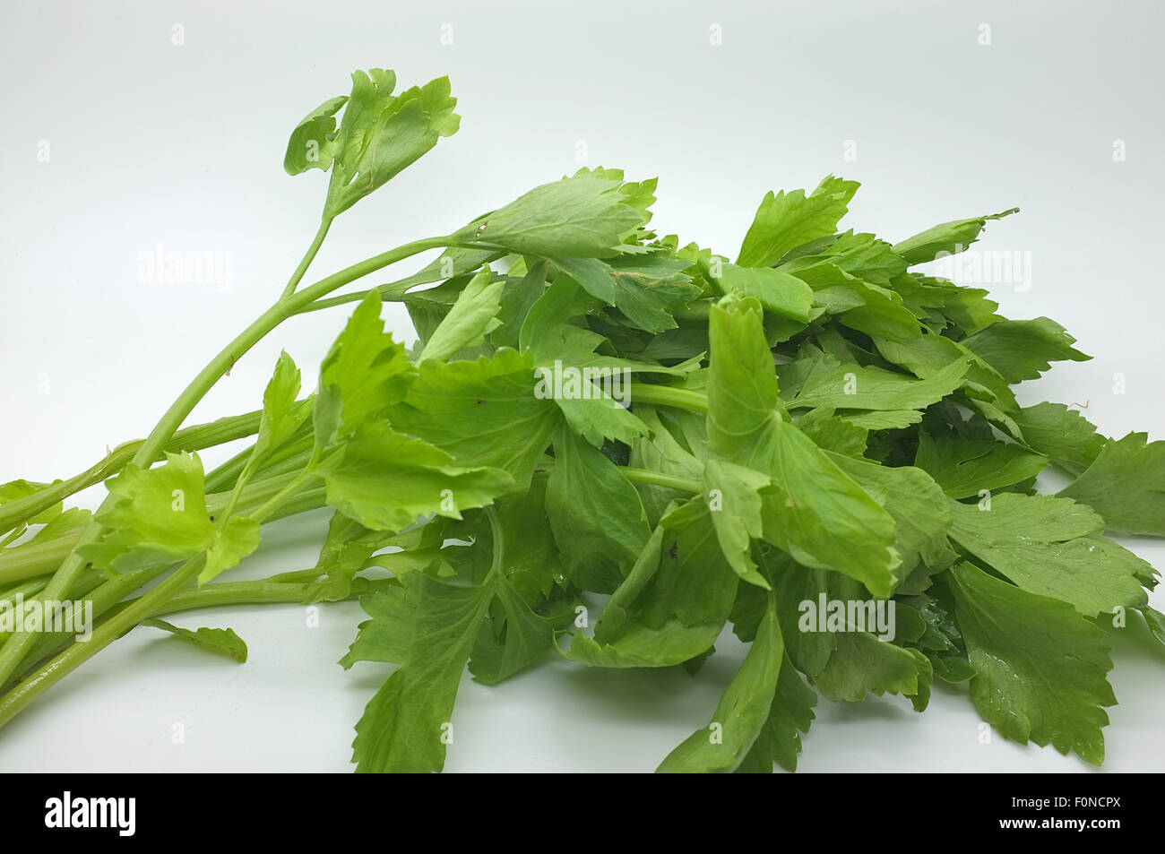Green celery hi-res stock photography and images - Alamy