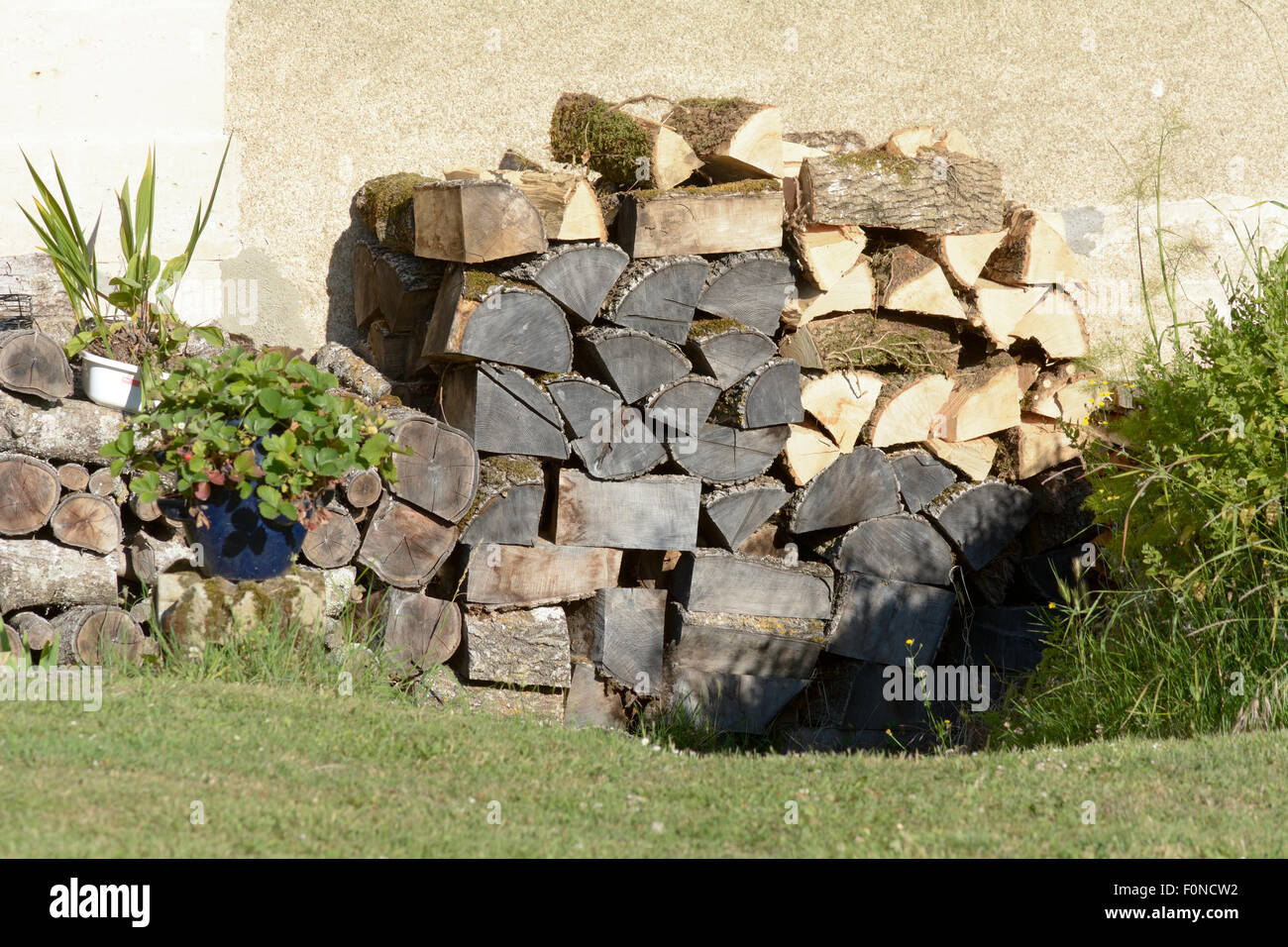 Stack of firewood piled high for winter outside farm building in French ...