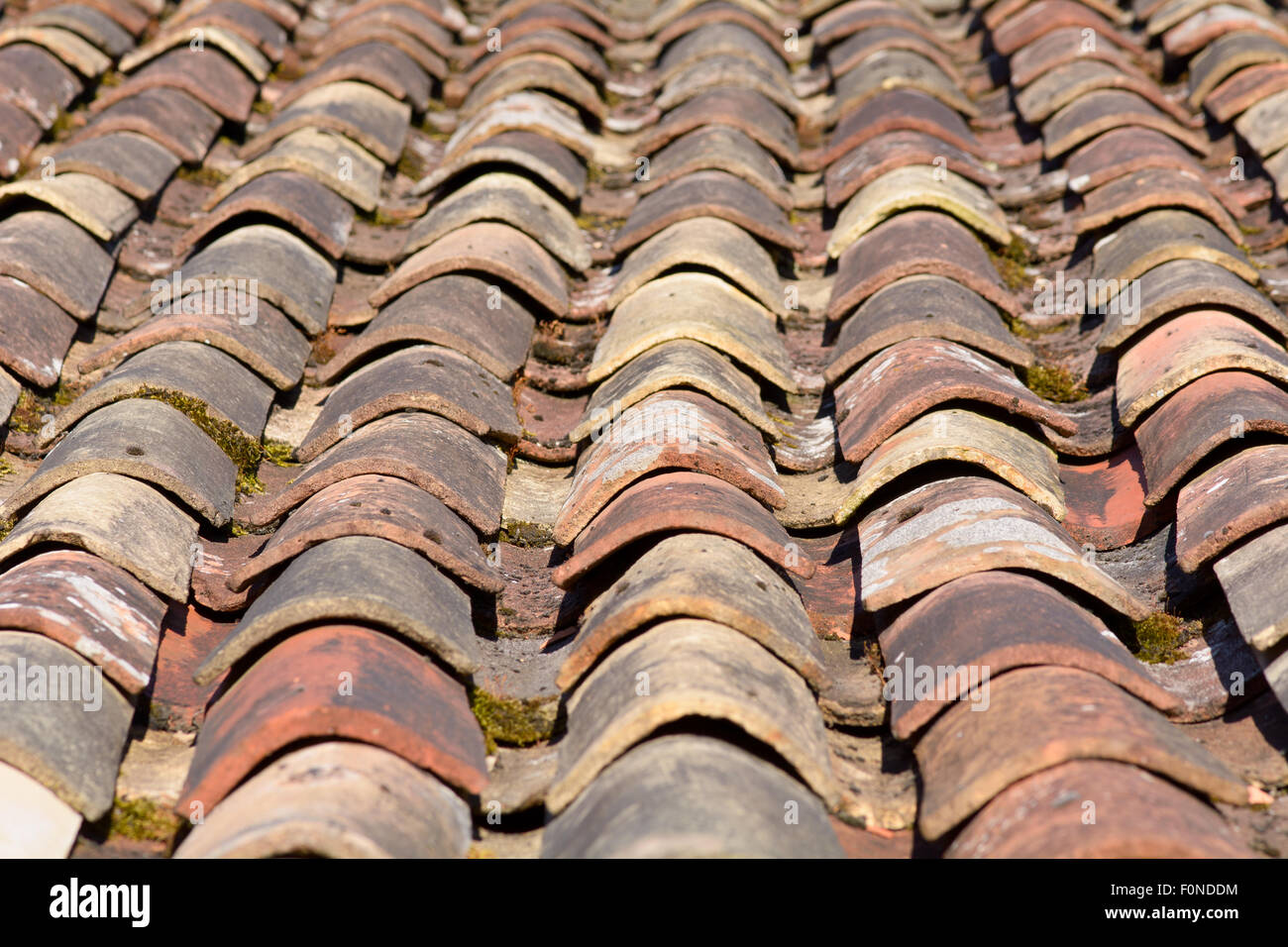 Terracotta curved roof tiles on barn on farm in French countryside ...