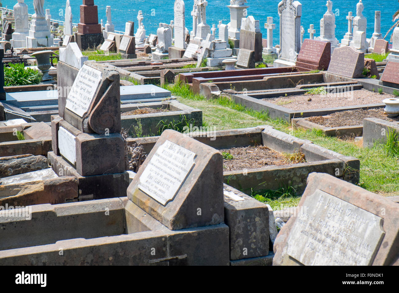 Waverley cemetery in Bronte, Sydney eastern suburbs,new south wales ...