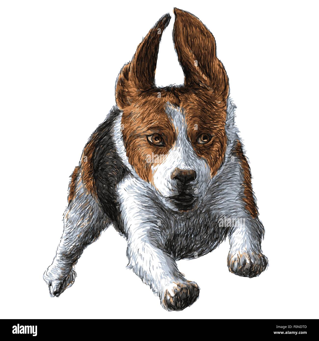 Image of running beagle hand drawn vector Stock Vector Image & Art - Alamy