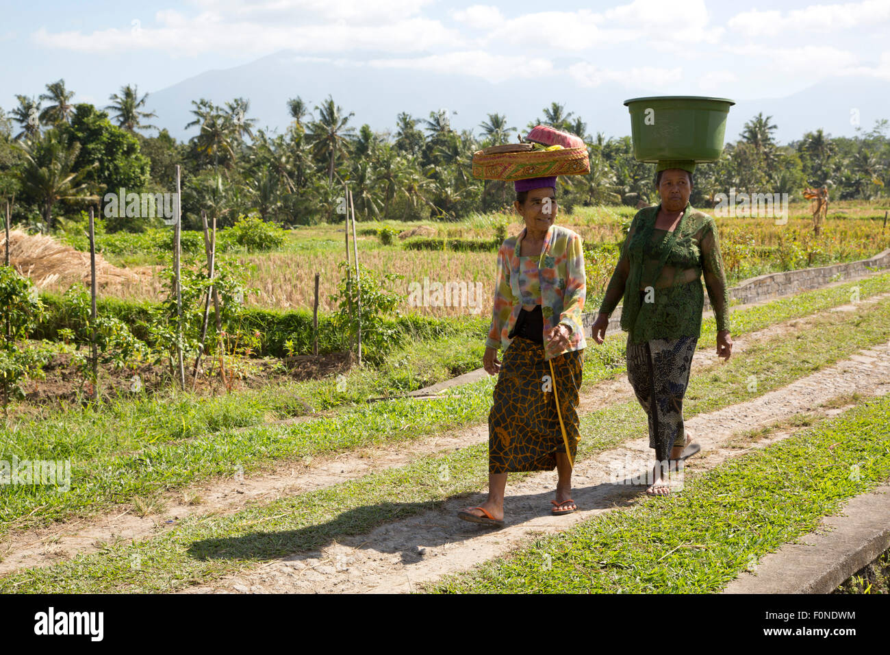 Rice farming Bali Stock Photo - Alamy