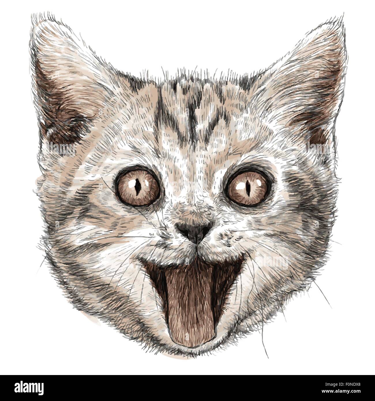 head of smiling cat hand drawn isolated on white background Stock ...