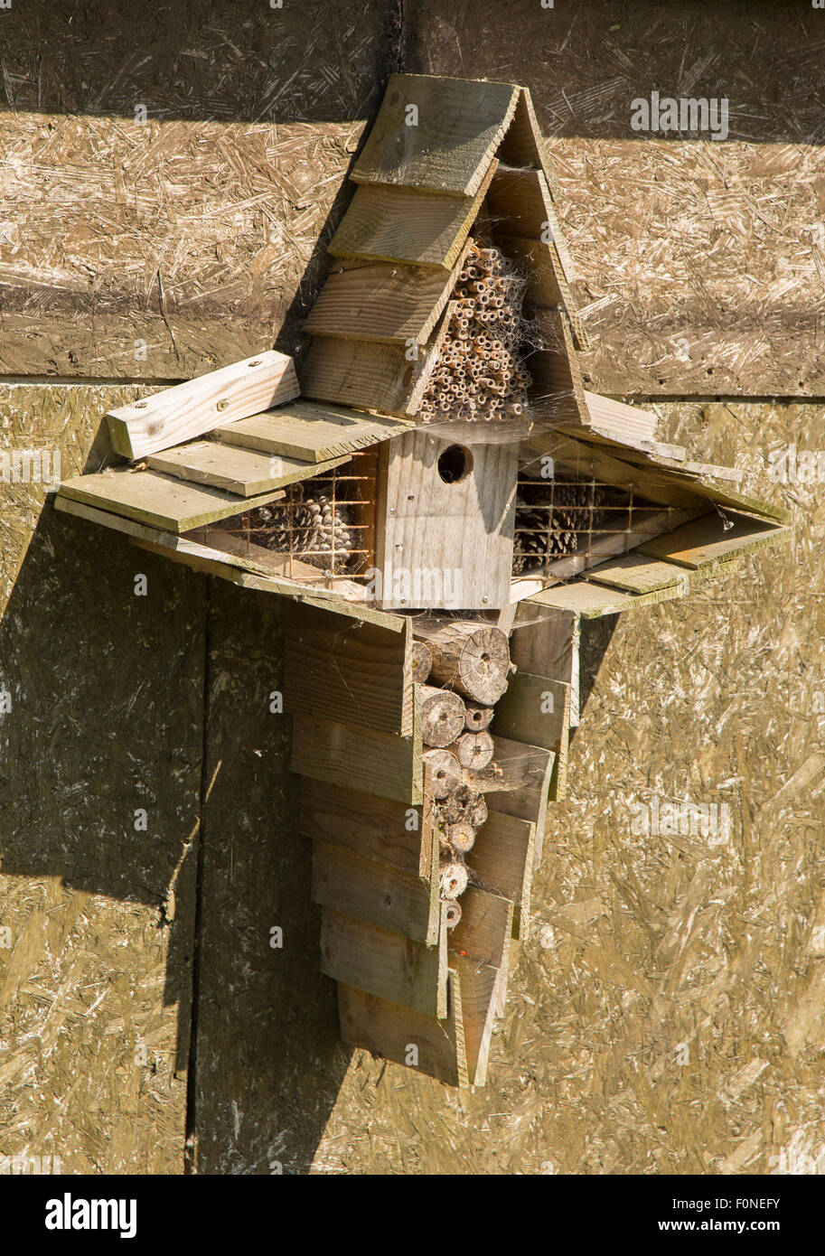Insect hotel pine hi-res stock photography and images - Alamy