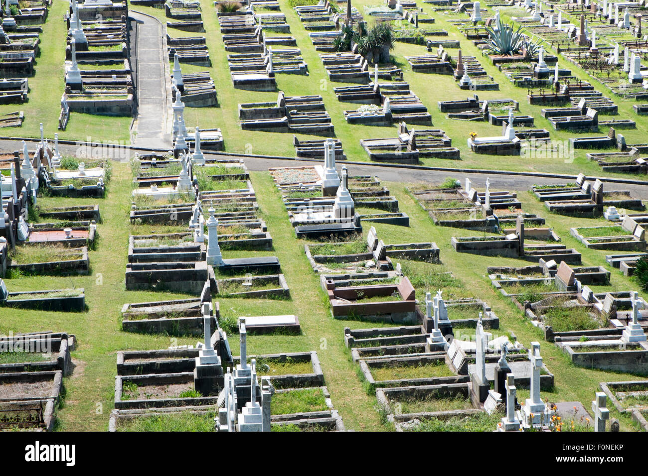 Waverley cemetery in Bronte, Sydney eastern suburbs,New South Wales ...