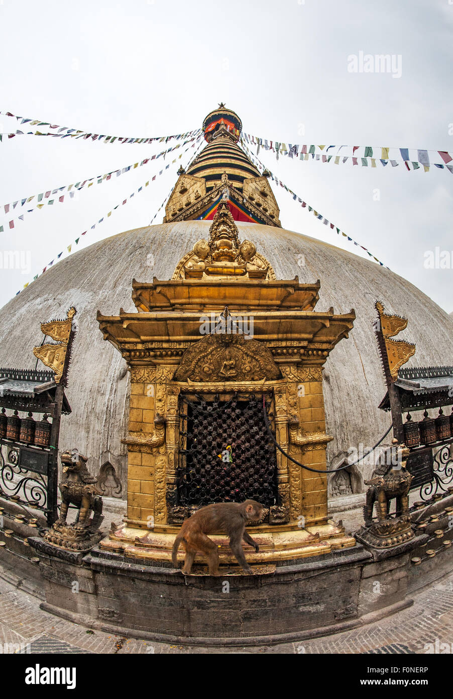 Monkey and temple hi-res stock photography and images - Alamy