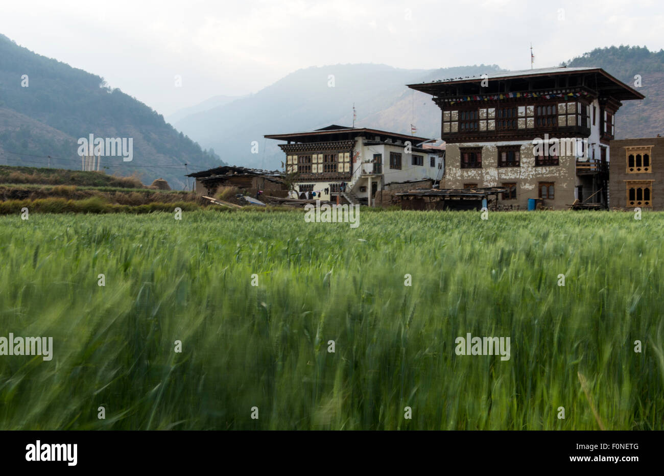 Houses countryside Bhutan Stock Photo - Alamy