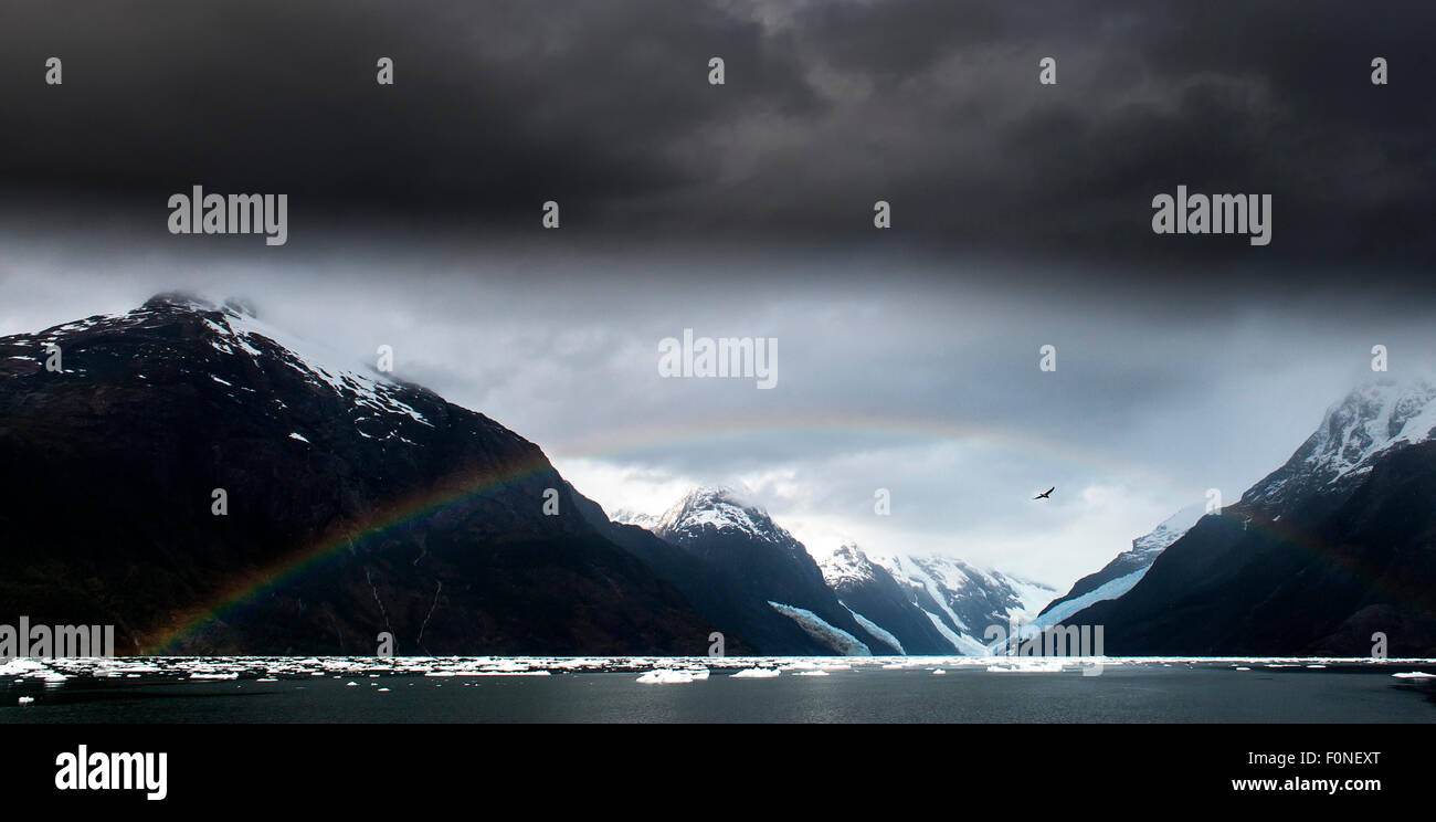 Rainbow and rock shags (Phalacrocorax magellanicus) in flight at Calvo ...