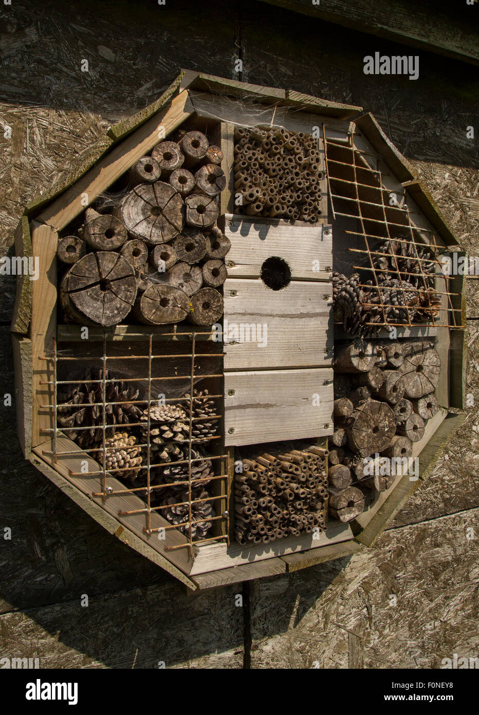 man made insect home on a wall Stock Photo - Alamy