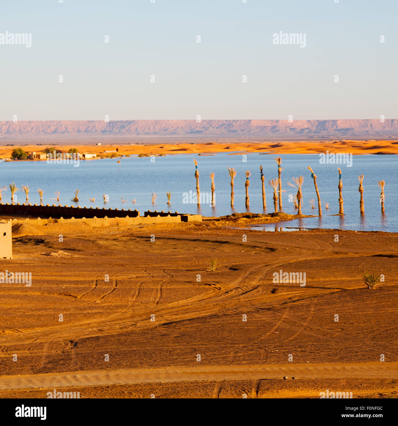 sunshine in the desert of morocco sand and lake dune Stock Photo - Alamy