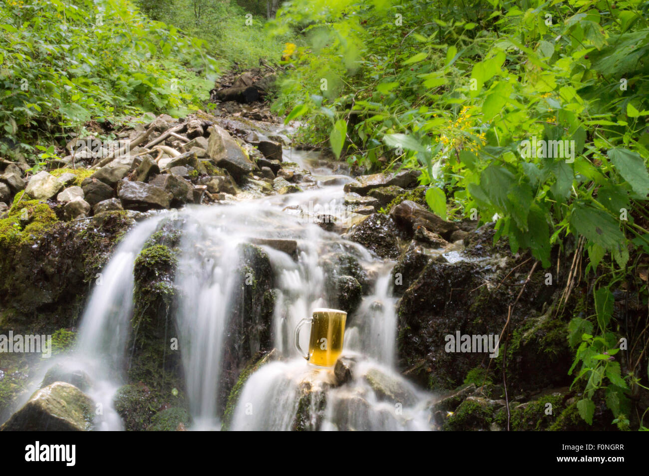 beer cooled in waterfall spring Stock Photo - Alamy