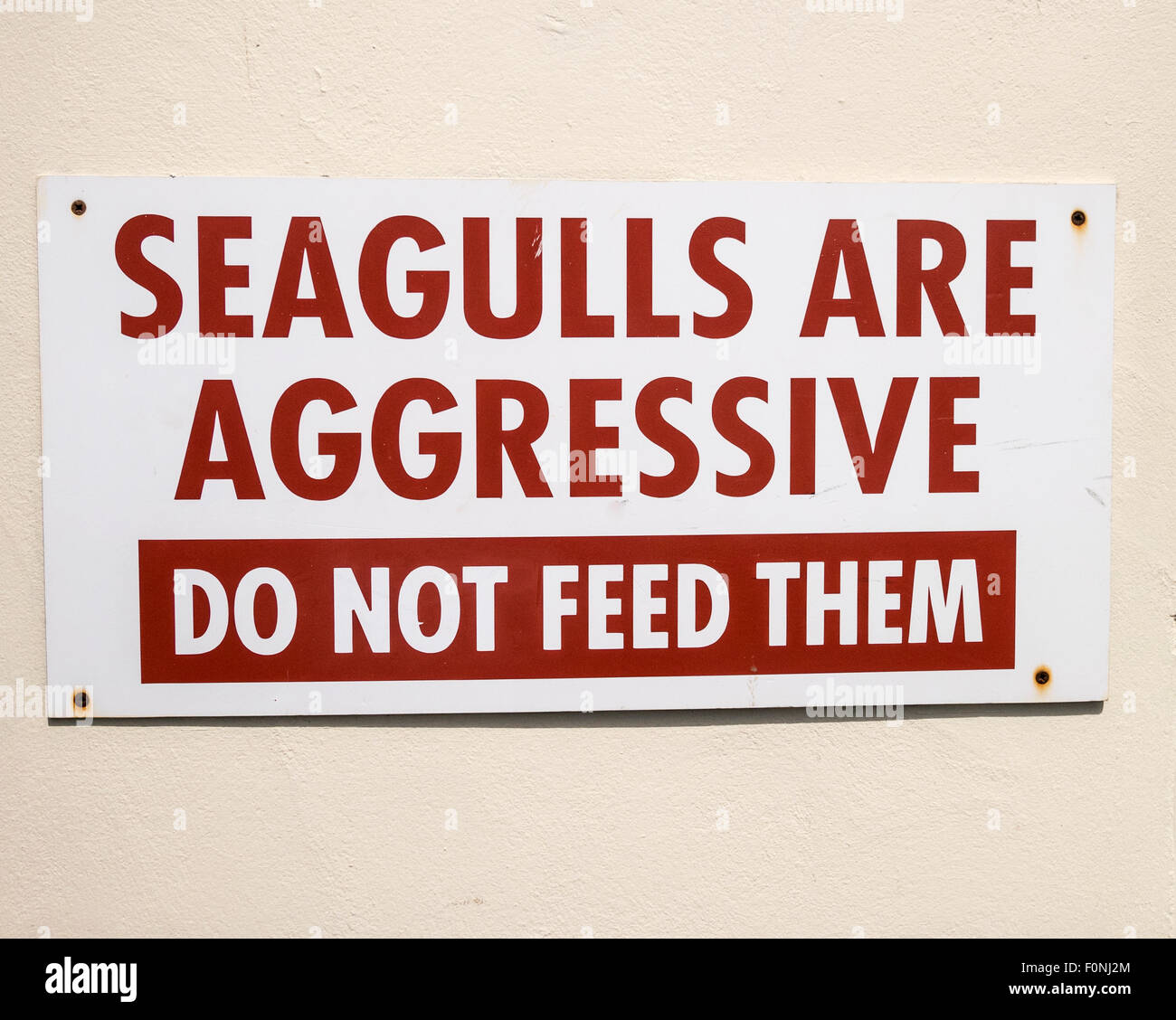 Do not feed seagulls sign hi-res stock photography and images - Alamy