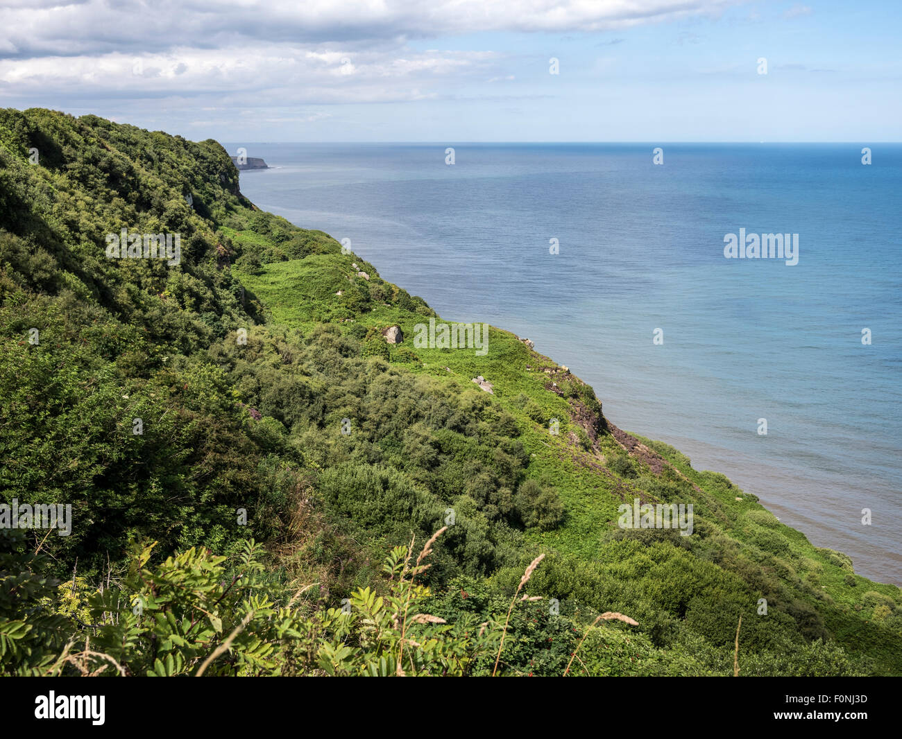 Ravenscar north yorkshire hi-res stock photography and images - Alamy
