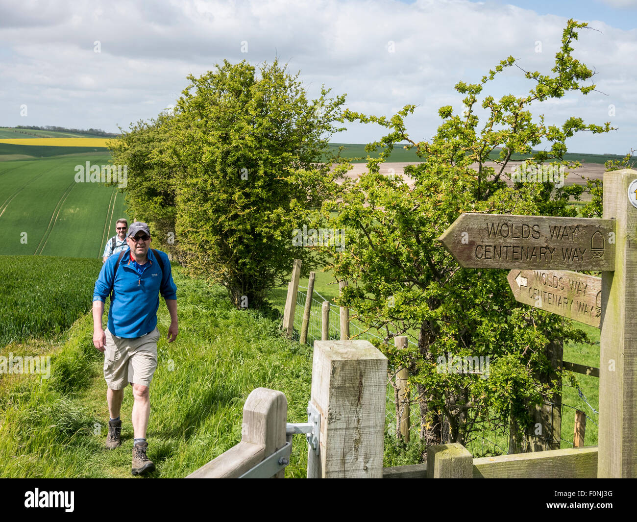Walkers and Wolds Way Signs Fordon Yorkshire UK Stock Photo - Alamy
