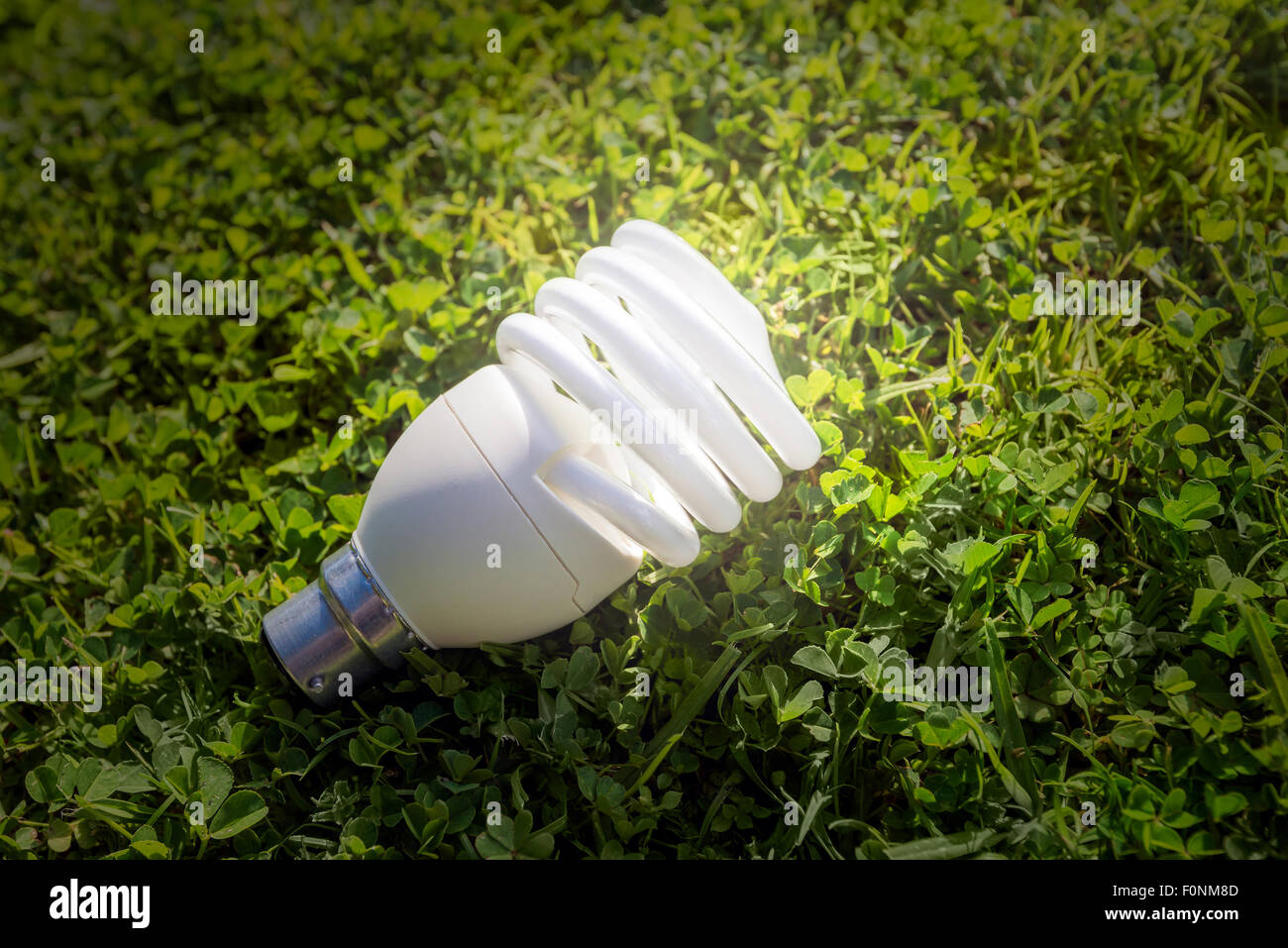 Energy saving lamp on the green grass Stock Photo - Alamy