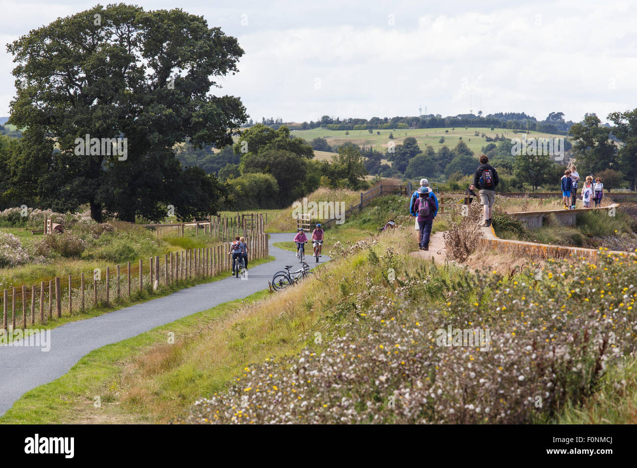 Exe river cycling hi-res stock photography and images - Alamy