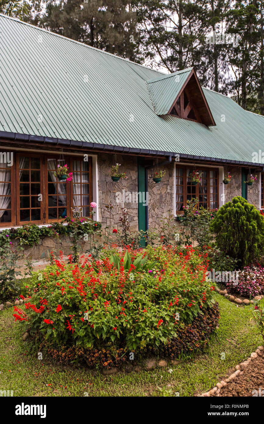 Sri Lanka Mackwoods tea house Stock Photo - Alamy