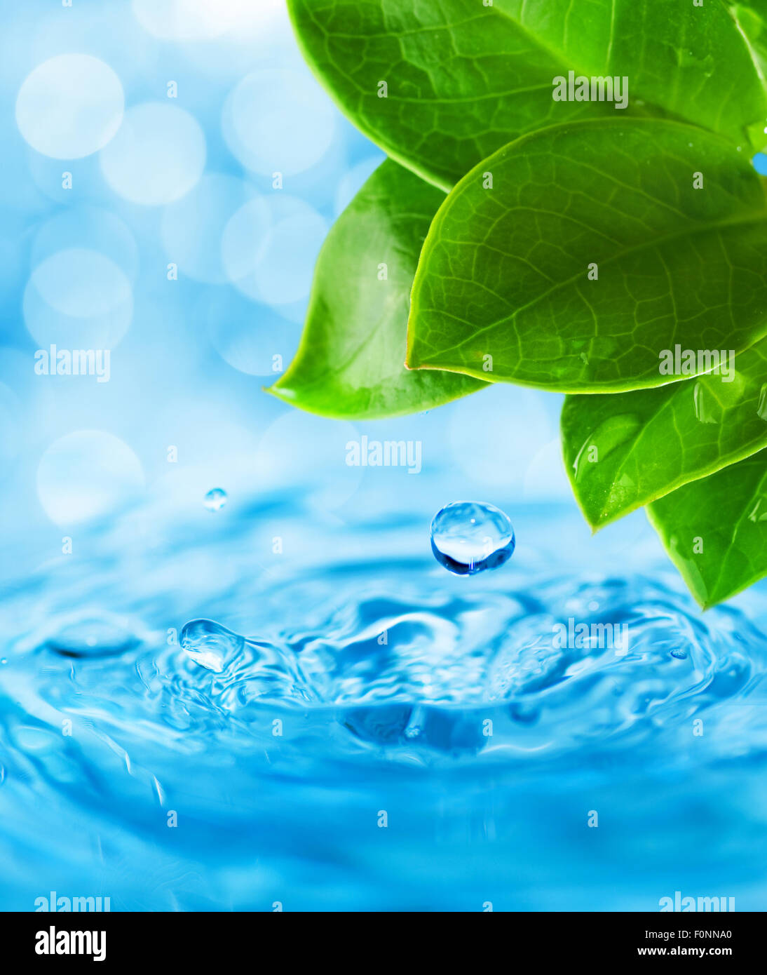 Water drops falling from wet leaf Stock Photo - Alamy