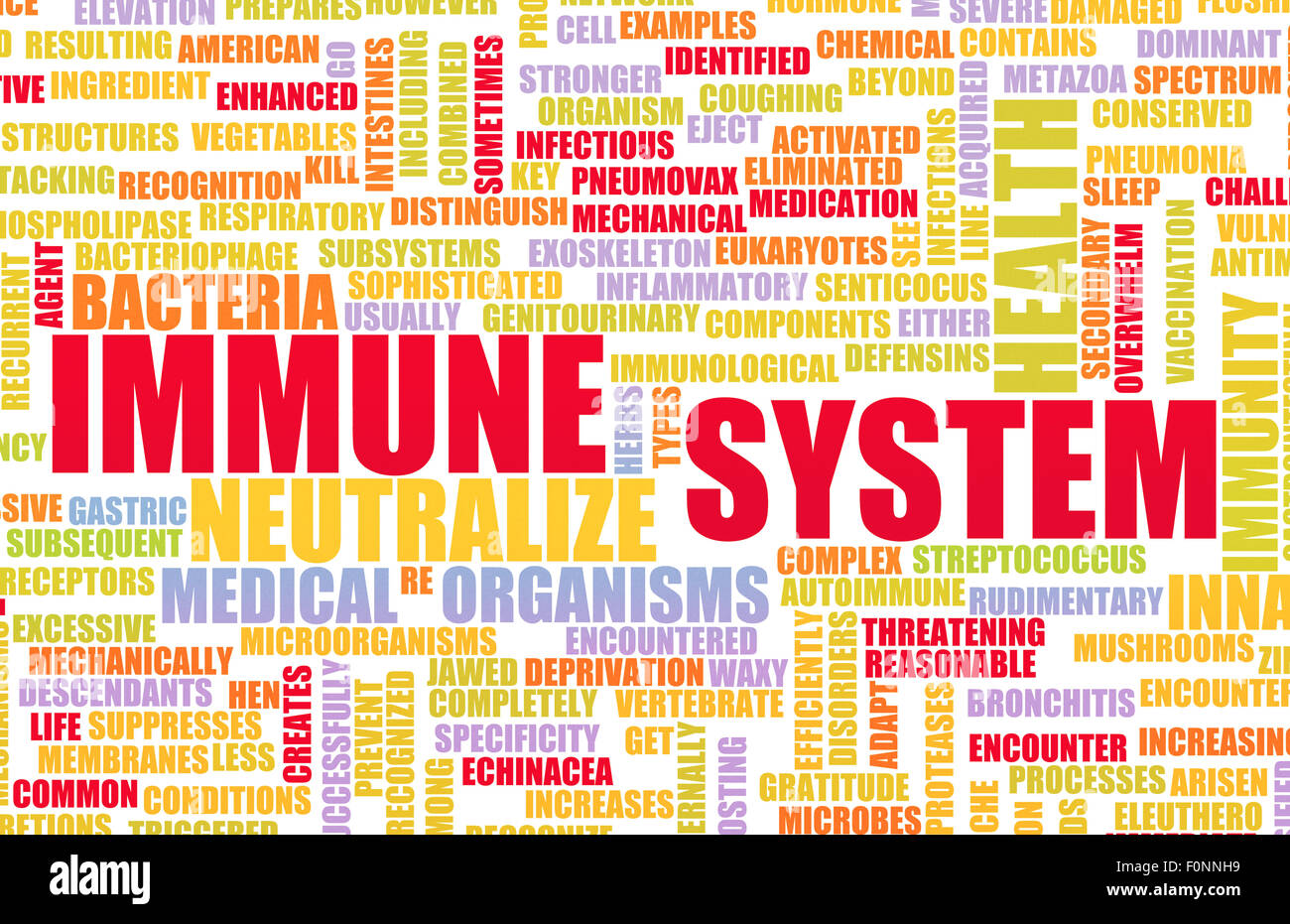 Immune System of a Good and Healthy Human Body Stock Photo - Alamy