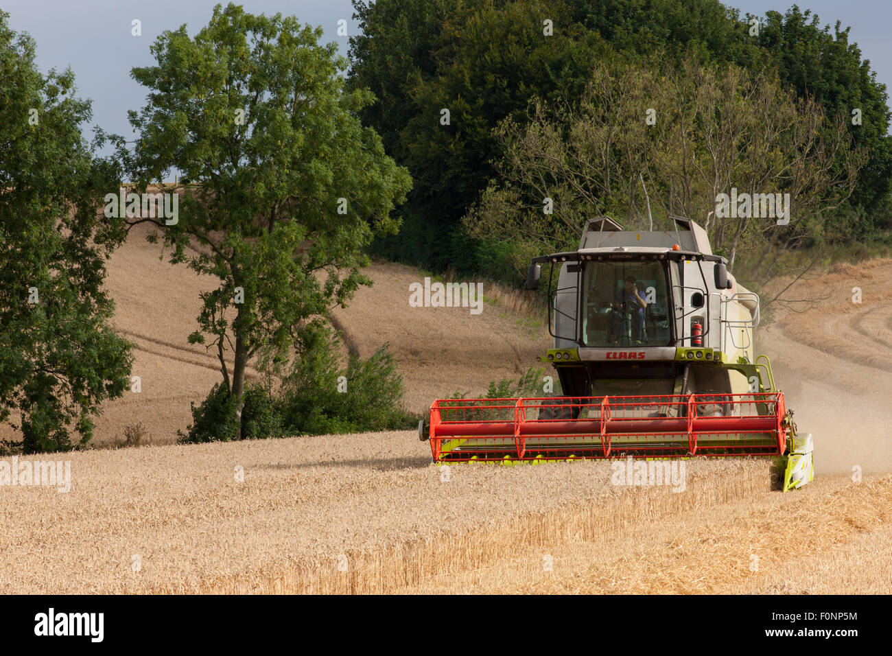 A combine harvester cutting the wheat Stock Photo - Alamy