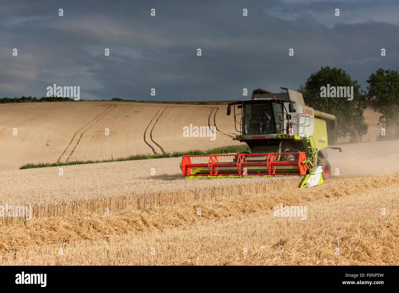 A combine harvester cutting the wheat Stock Photo - Alamy