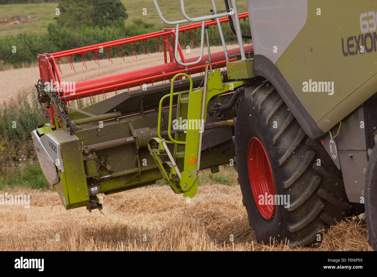 A combine harvester cutting the wheat Stock Photo - Alamy
