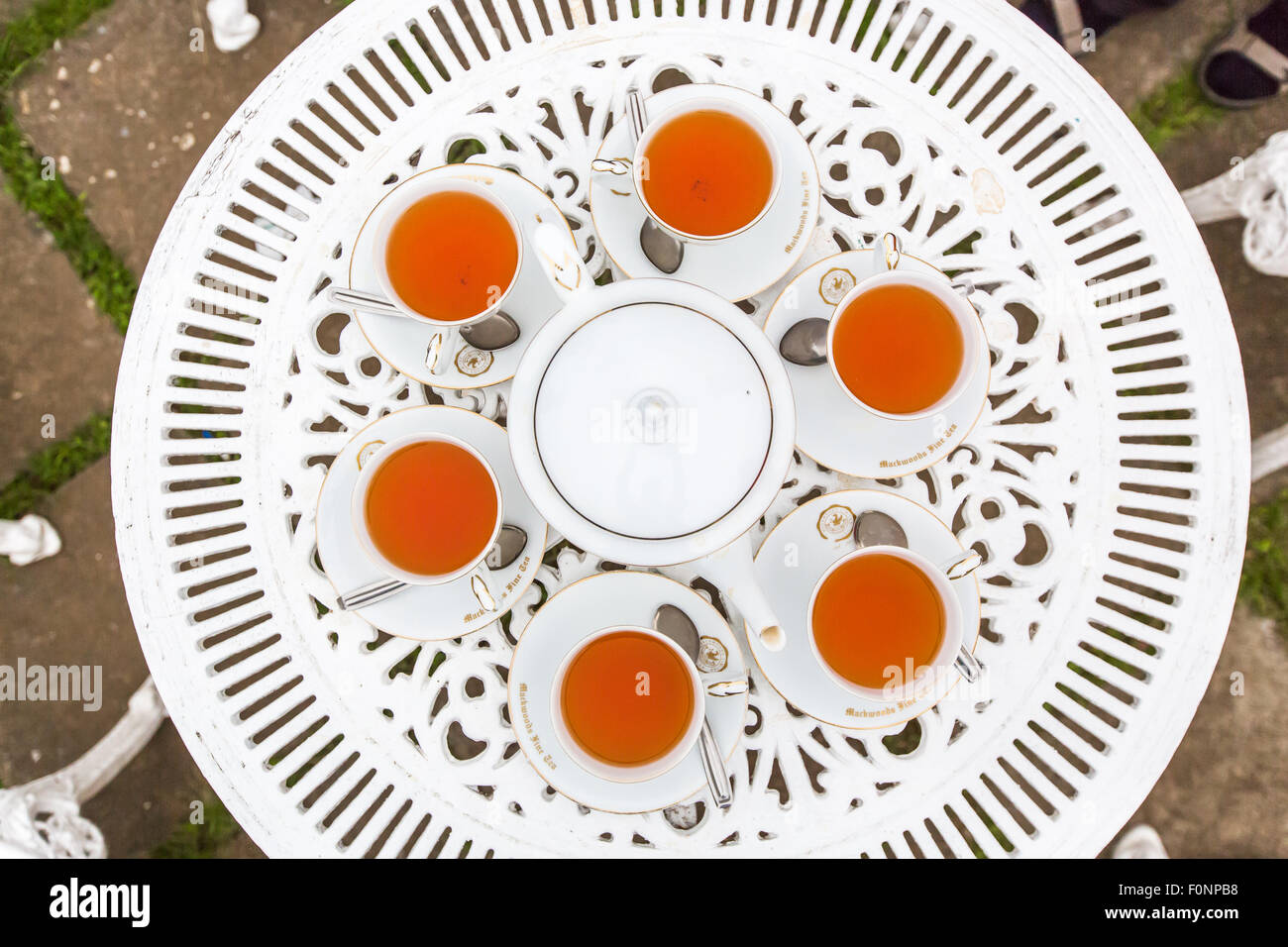 Sri Lanka Mackwoods tea house Stock Photo - Alamy