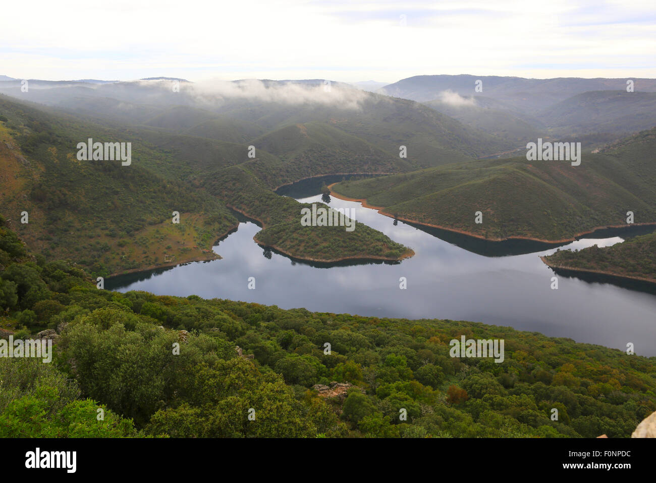 River tajo national park hi-res stock photography and images - Alamy