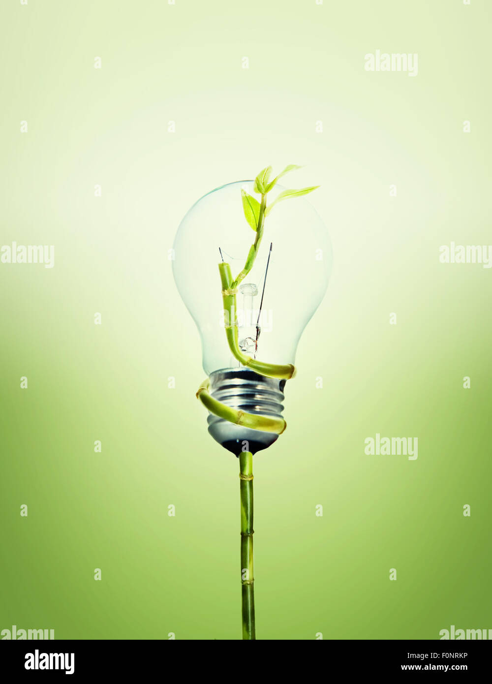 Environment friendly bulb Stock Photo - Alamy