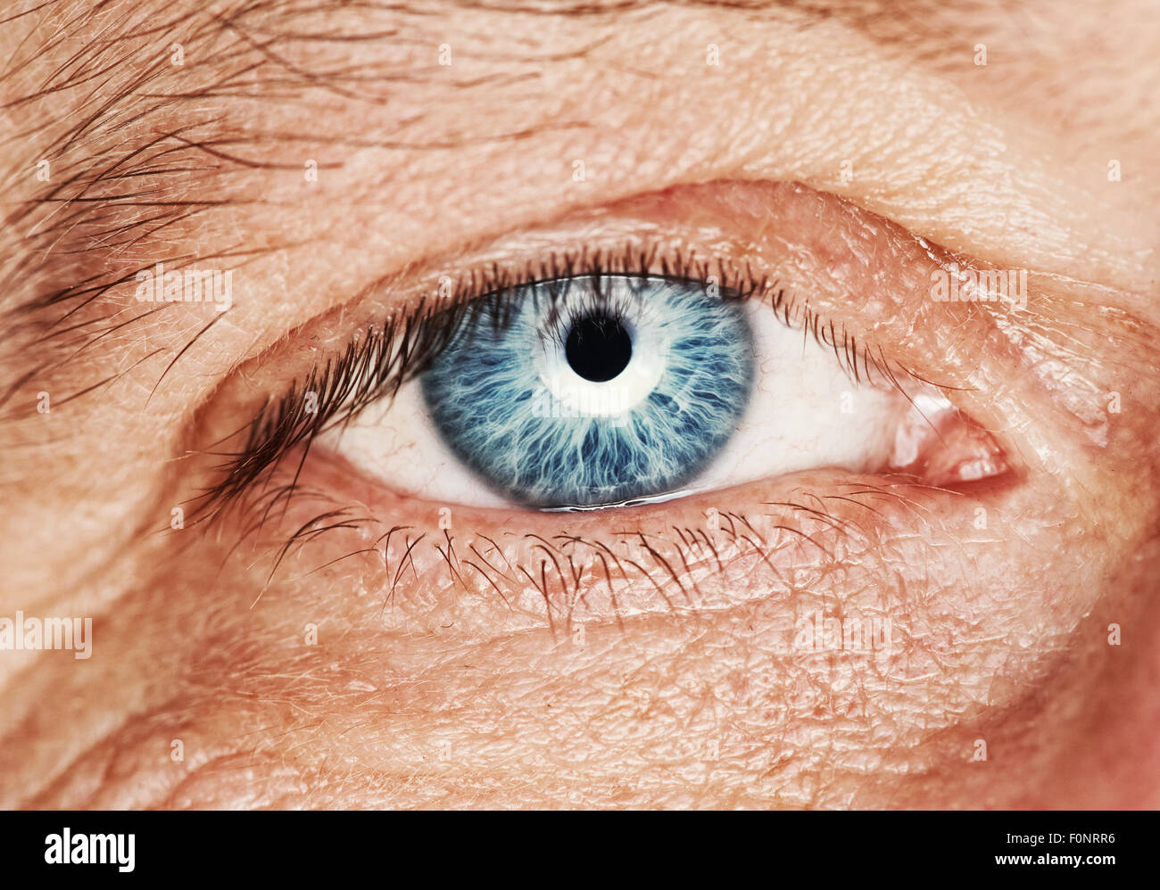 Picture of a human eye Stock Photo - Alamy