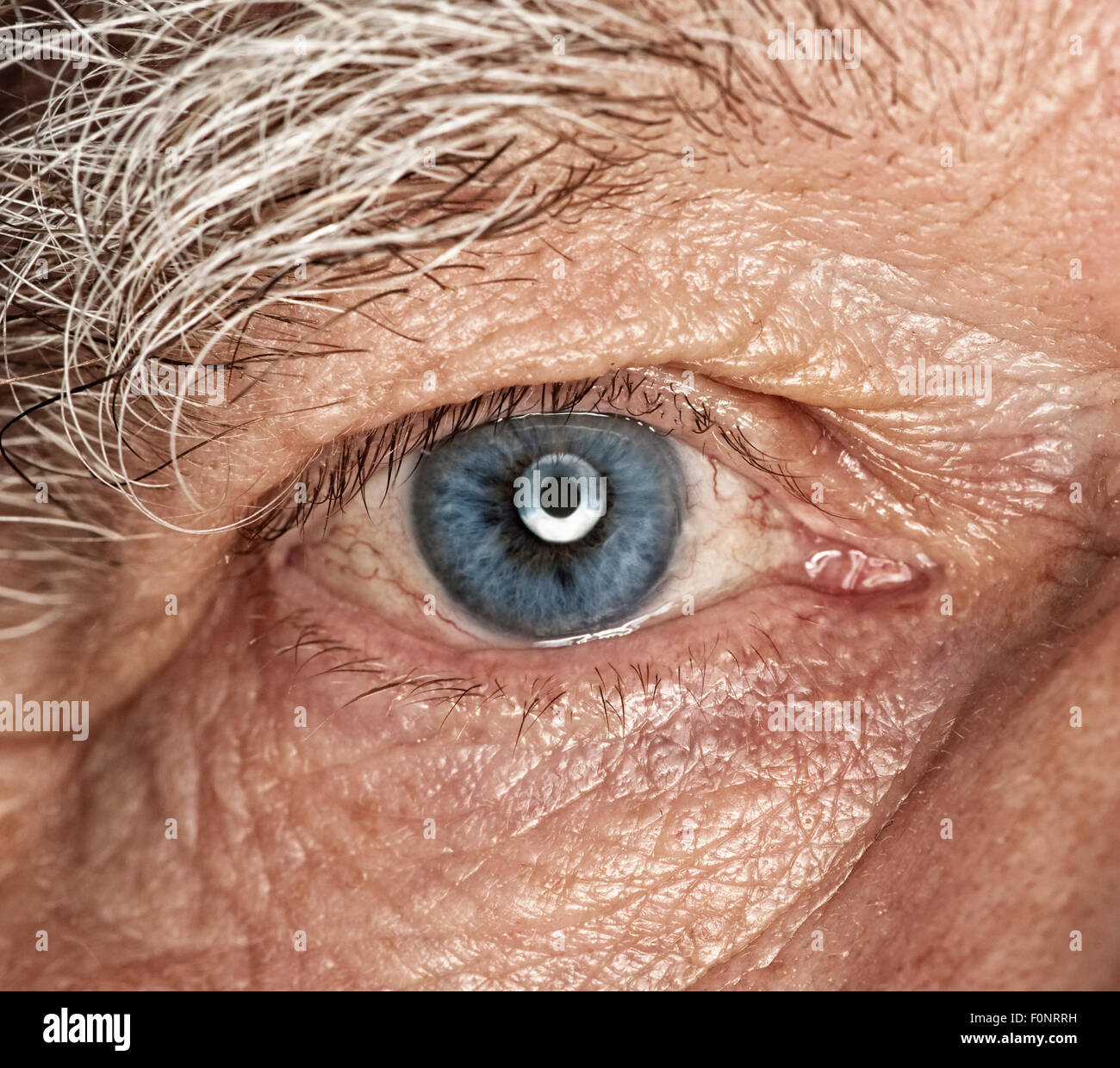 Picture of a human eye Stock Photo - Alamy