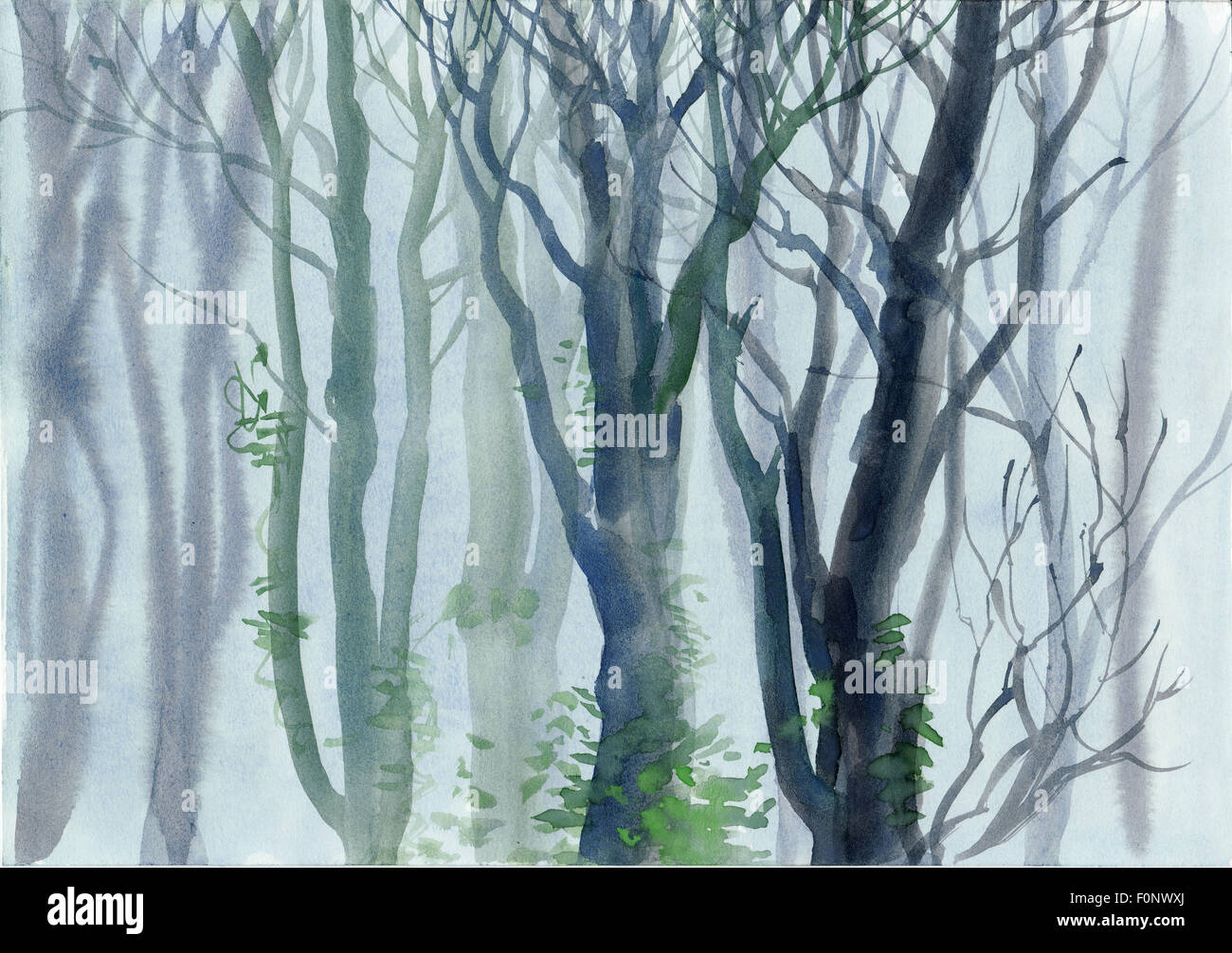 Misty forest with bare trees, ivy and air perspective. Original ...