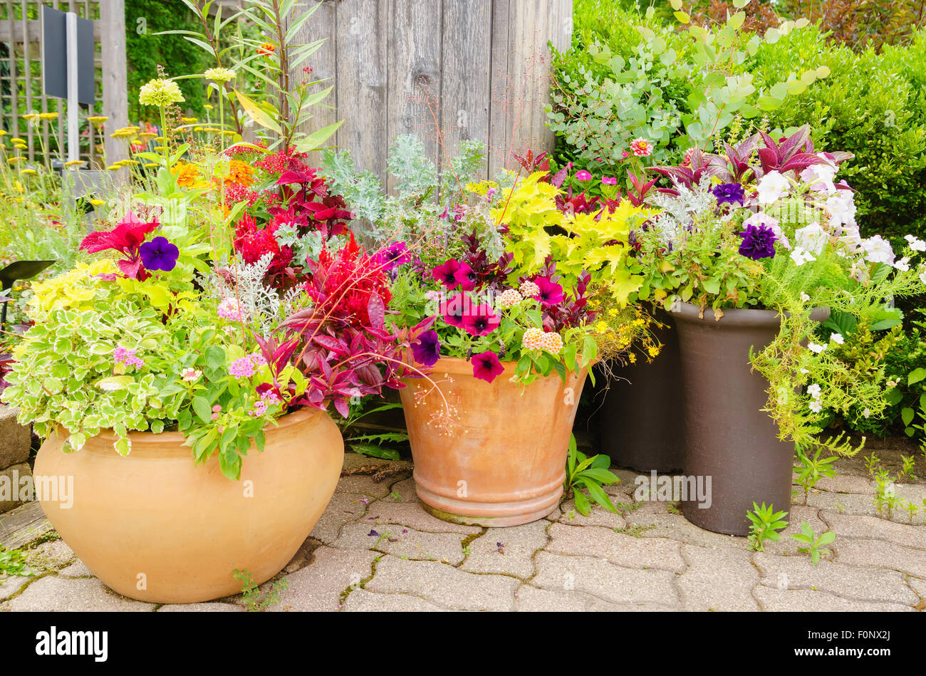 Summer containers garden hi-res stock photography and images - Alamy