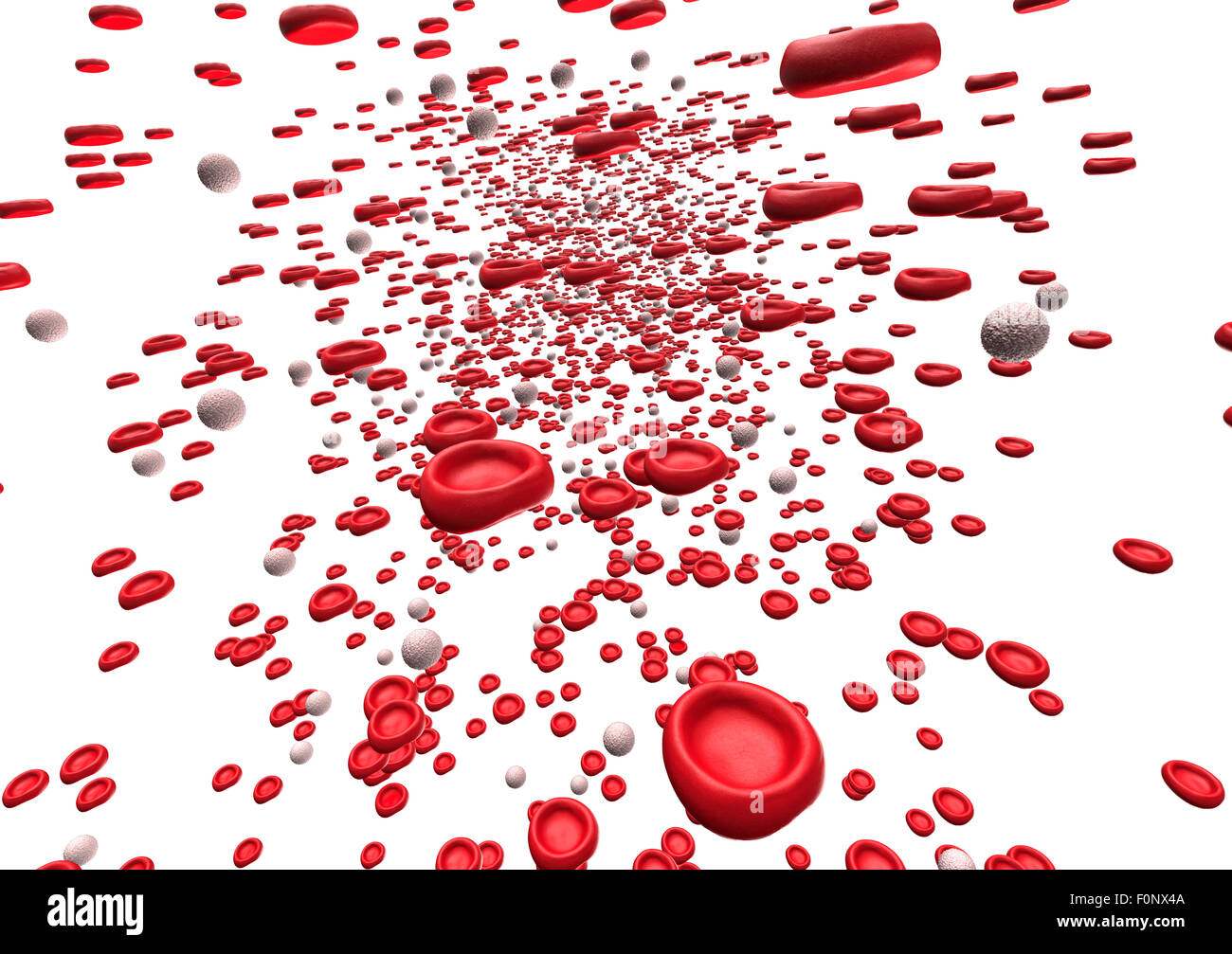 red bloodcells flowing throw an artery Stock Photo - Alamy