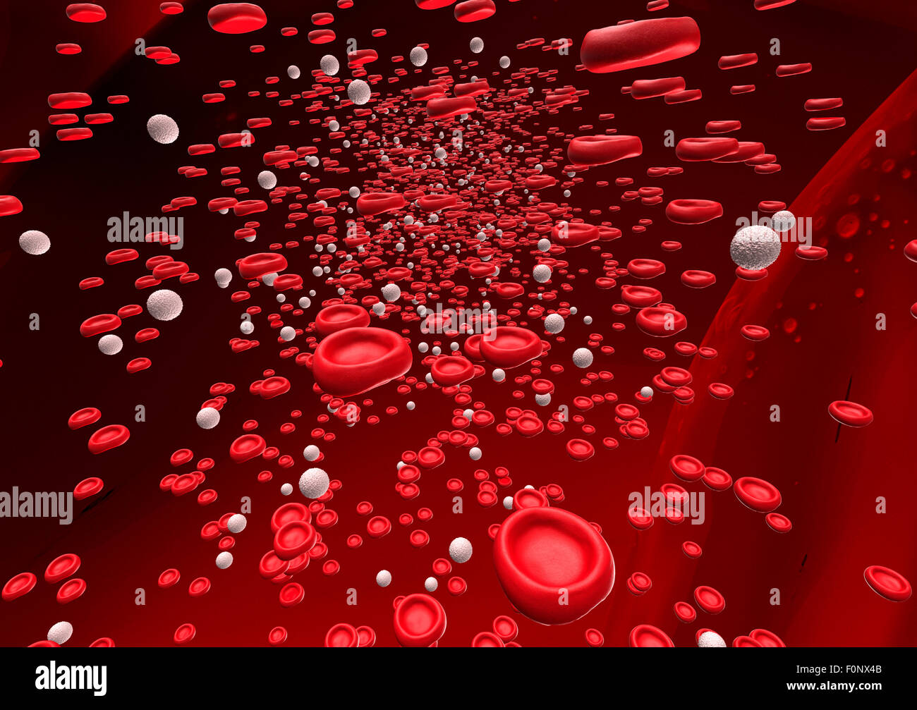 red bloodcells flowing throw an artery Stock Photo - Alamy