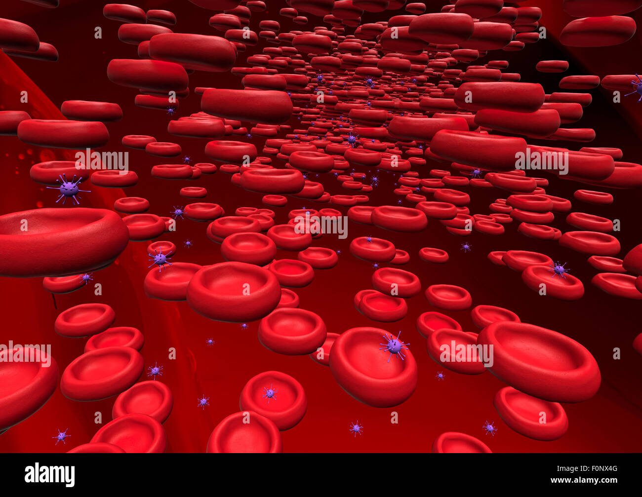 Bloodcells hi-res stock photography and images - Alamy