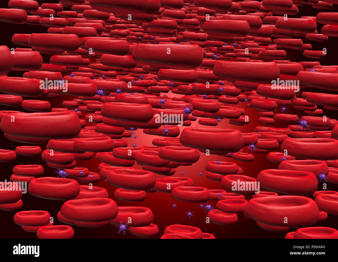 red bloodcells flowing throw an artery Stock Photo - Alamy