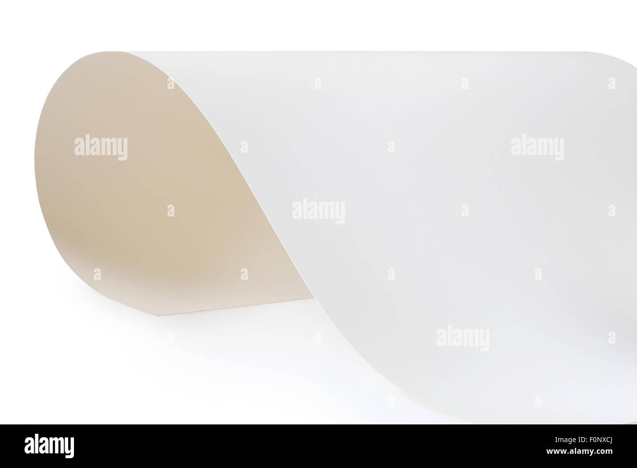 Isolated rolled sheet of textured paper on white background with ...