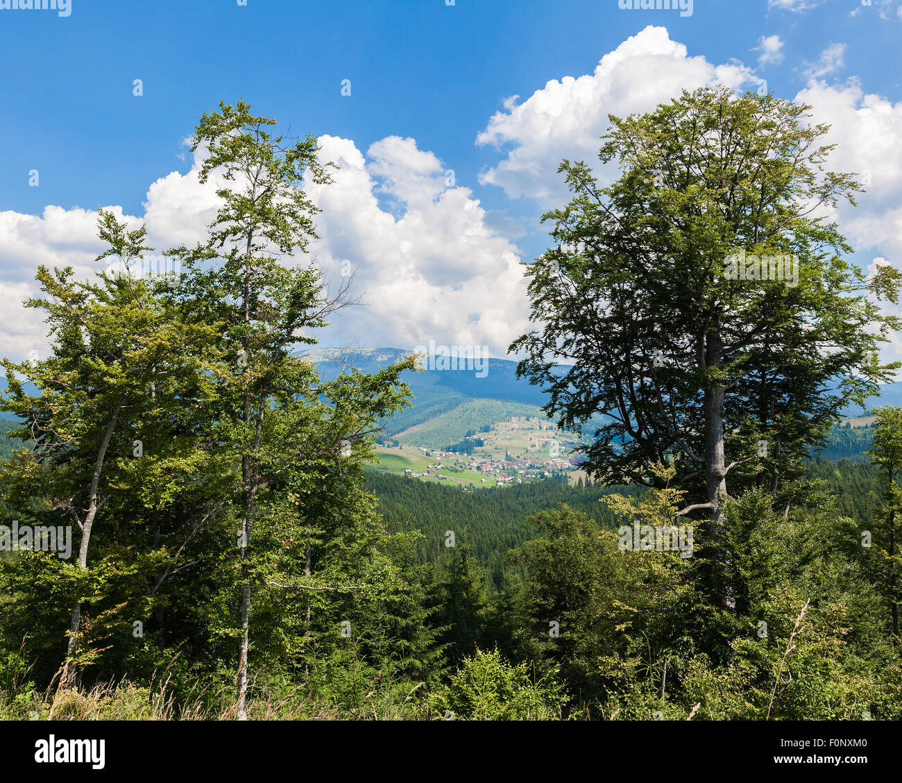 summer landscape of the Montenegrin ridge in Carpathians Stock Photo ...