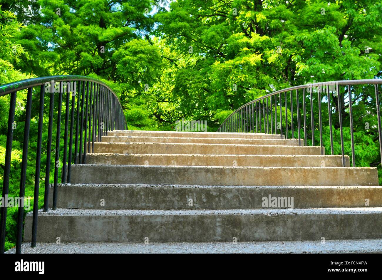 Environmental concept with stairs to nature Stock Photo - Alamy