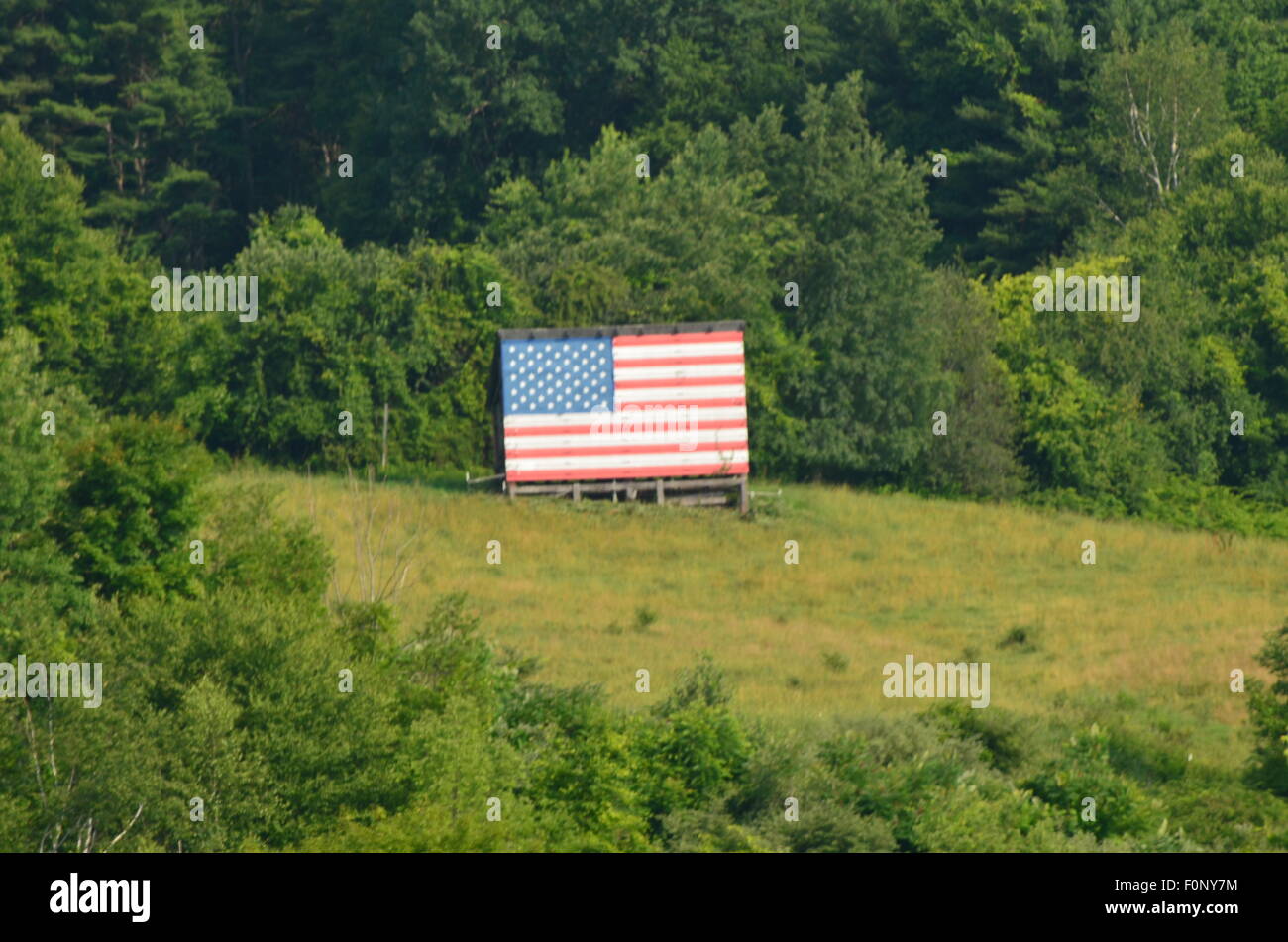 Flag near tree hi-res stock photography and images - Alamy